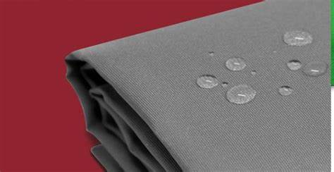 The dazzle and wizardry of taslan fabric: its sorcery of function and ...